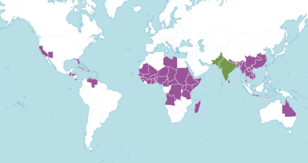 global-textbook-of-botany.com — Moringa oleifera
